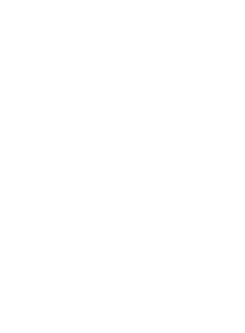 Softail Thunder250 detail - THUNDER MOTORCYCLES